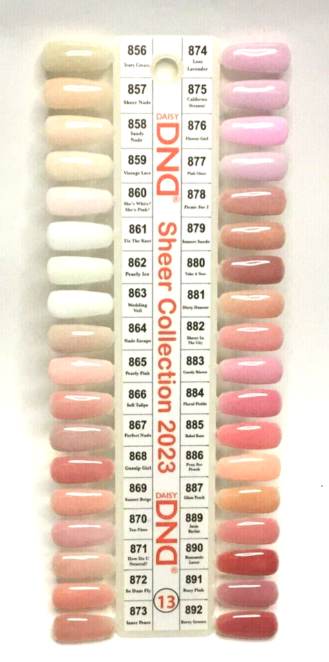 DC&DND Daisy Color Chart Gel Polish Color Sample Chart Palette Display ...