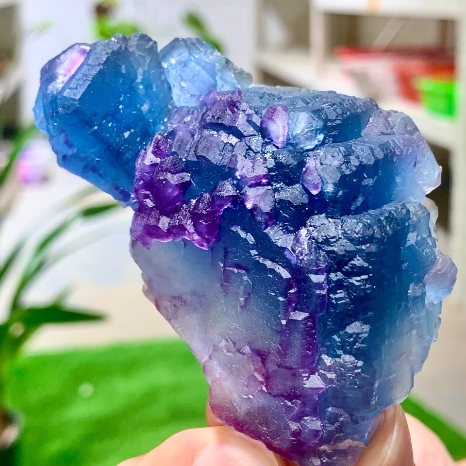 127G Rare Blue Green Purple cubic fluorite mineral crystal sample ...
