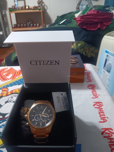 Citizen Weekender Eco Drive Gold Mens Watch (AT2132-53E) | eBay