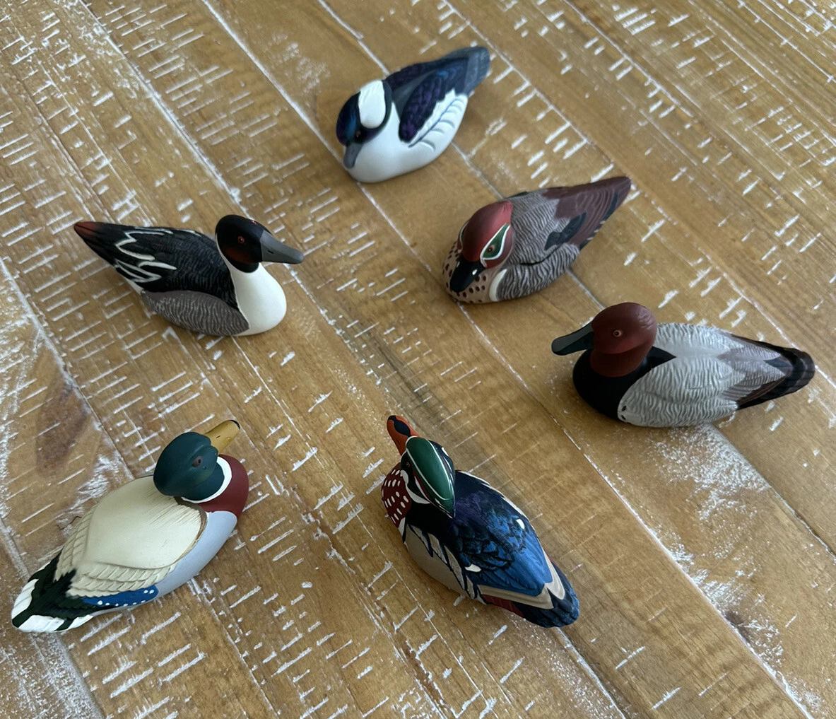 Avon Duck Collection