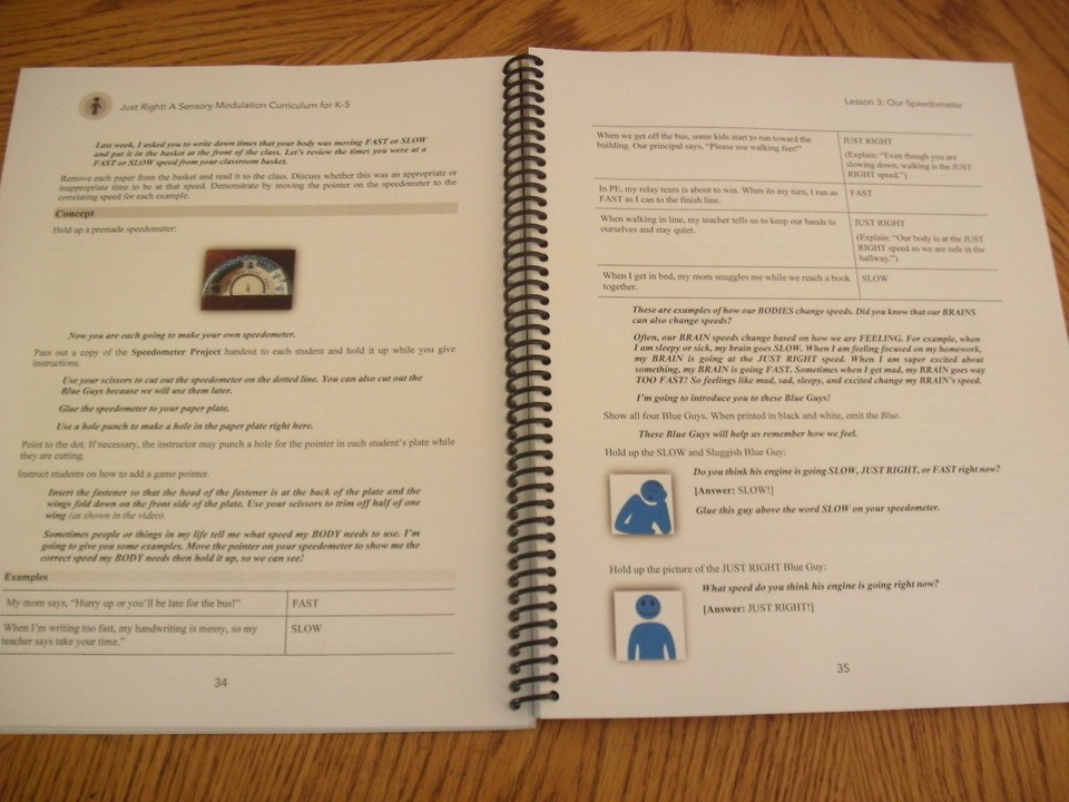 Just Right! A Sensory Modulation Curriculum for K-5, Gwen Wild & Kim ...