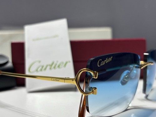 Cartier Big C Without Diamond Cut Lake Blue Frameless Lens CT0092S | eBay