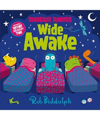 Wide Awake, Rob Biddulph | eBay