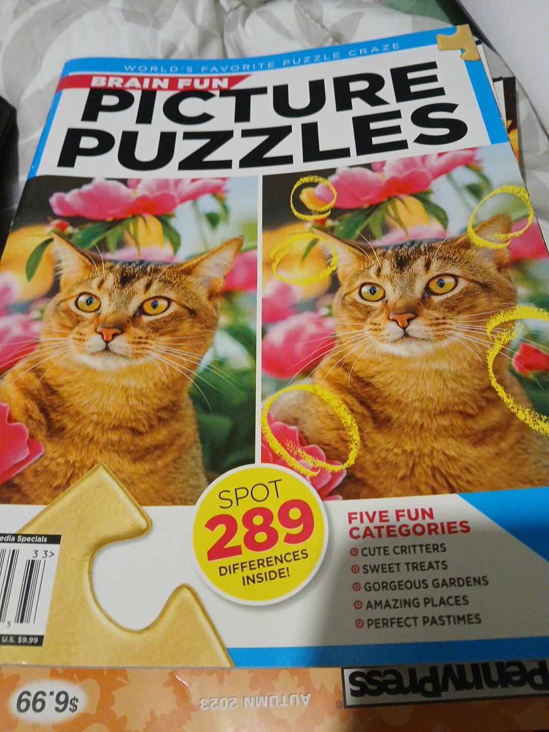 Brain Fun Picture Puzzles Spot 289 Differences Five fun categories | eBay