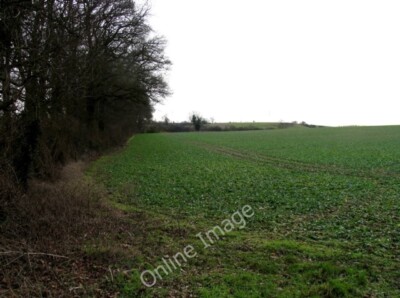 Photo 6x4 Field by Wire Lane Spinney East Carlton/SP8389 c2010 | eBay UK