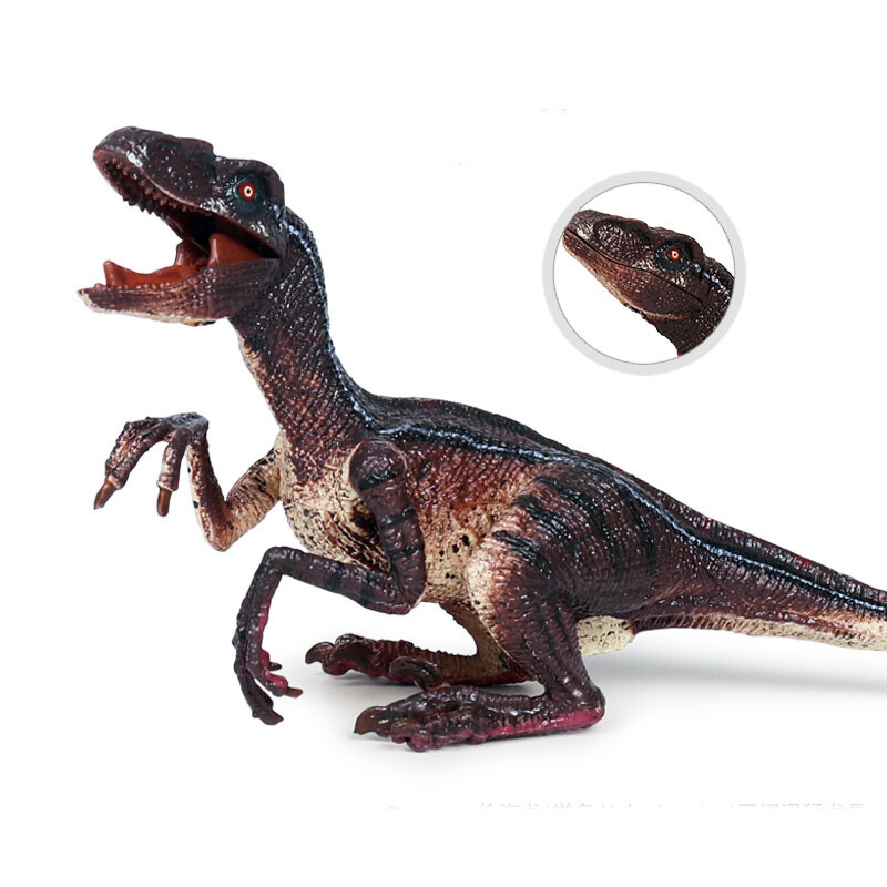 Simulated Dinosaur Figurine Realistic Velociraptor Dinosaur Model for ...