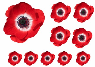 Poppy Flower Decals Car Stickers Graphics laptop or Wall, Window ...