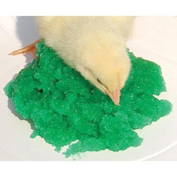 10 Pack 100 Doses Grogel Plus B Baby Chick Hydration and Nutrients for ...