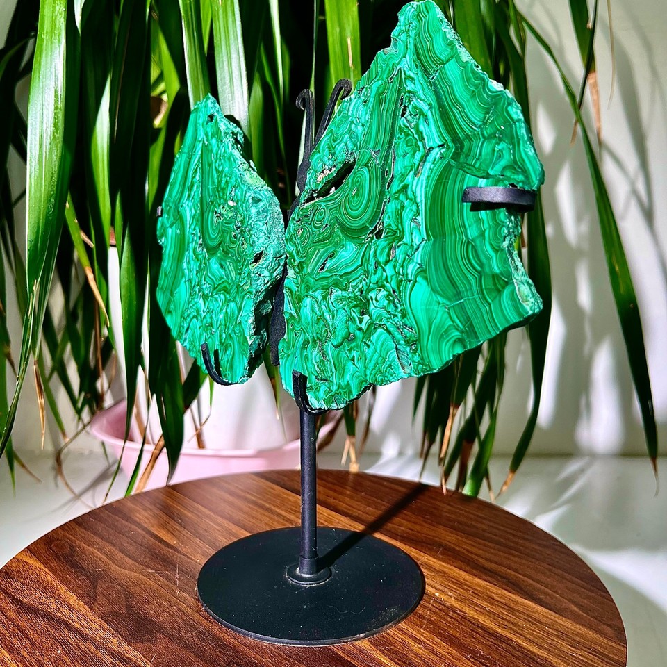3.65LB Natural crystal Malachite wing Crystal Healing + brackets | eBay