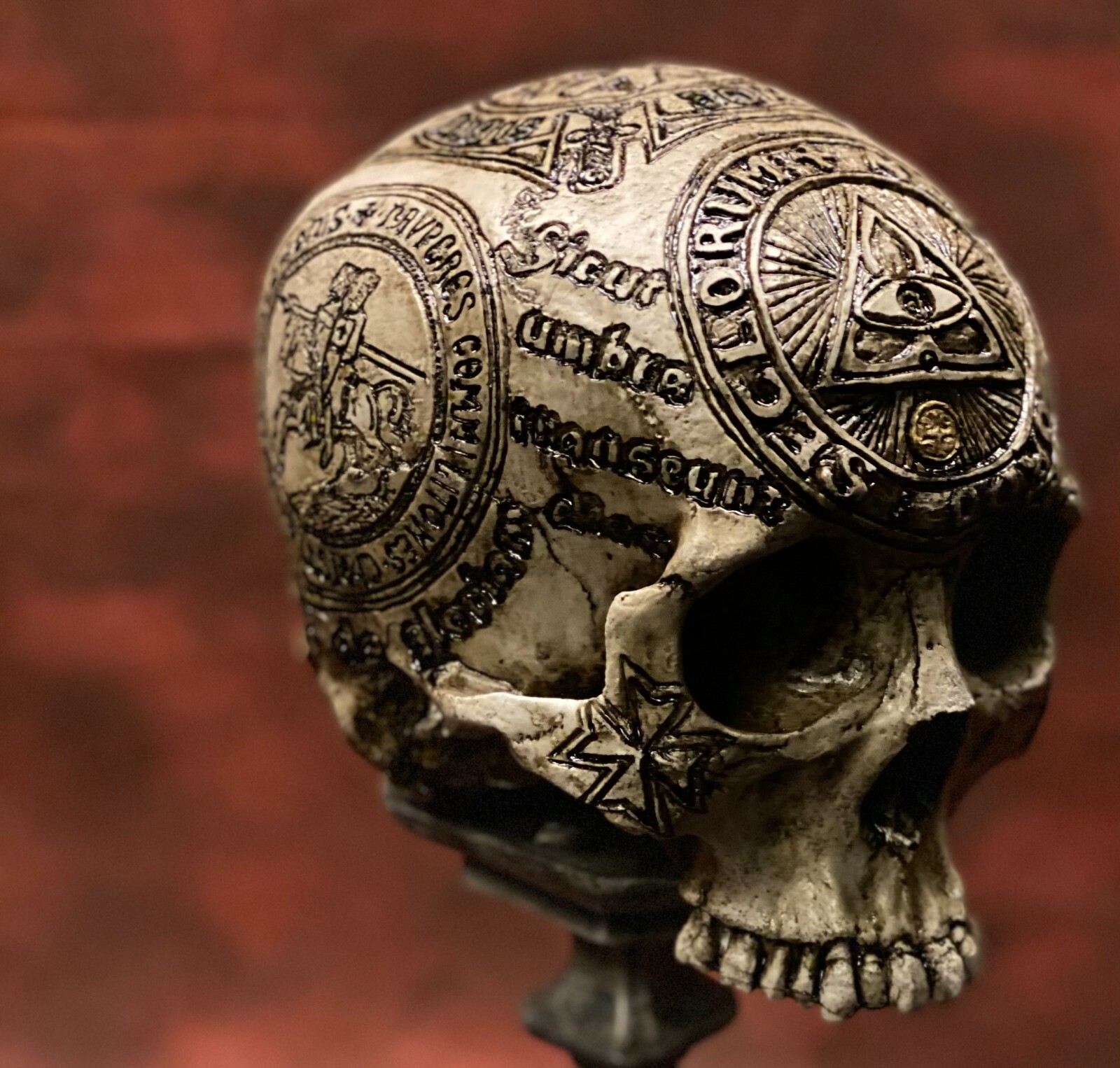 Real Human Skull RESIN REPLICA SIGNED Templar Knight Masonic mason ...