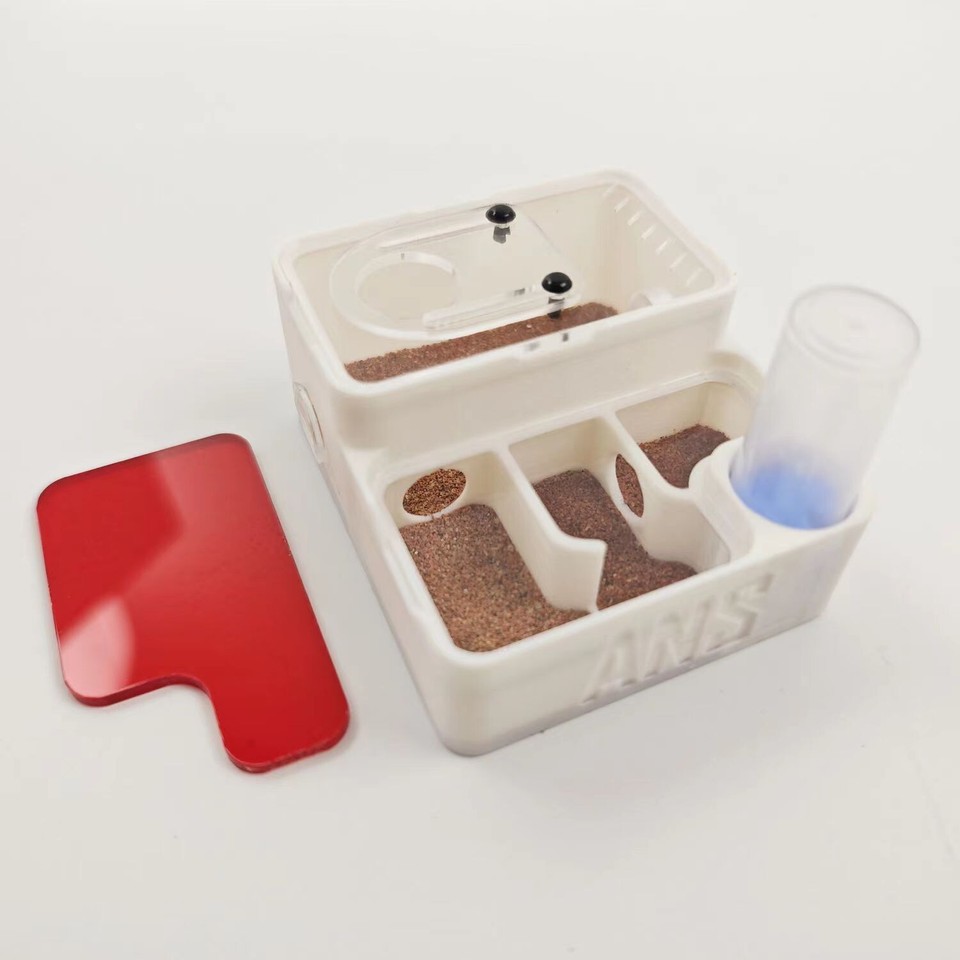 3D Acrylic Ant Farm Housing Ant Nests Formicarium Pet Ants Box | eBay