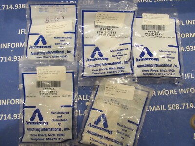 Armstrong Steam Trap PCA Rebuild Kit, 3/16 Orifice 70psi, B1670-3 ...