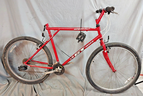 1995 GT Outpost Trail MTB Bike XLarge Hardtail 4130 Chromoly Rigid USA ...