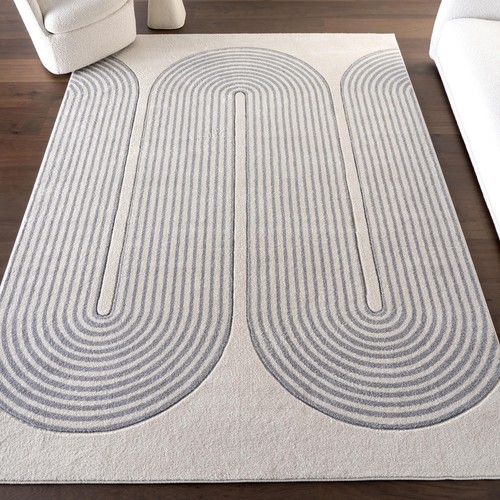 Naya Contemporary Abstract Area Rug 4x6 Naya Grey 193981064434| eBay