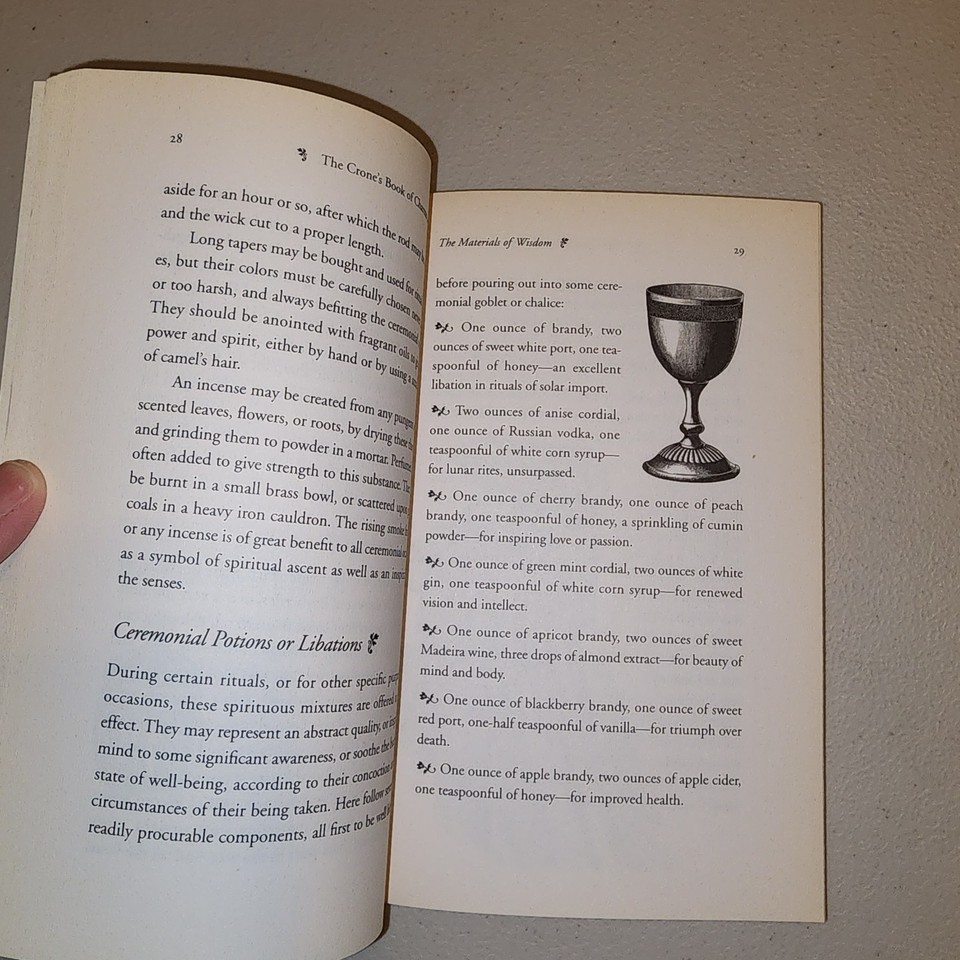 Crone's Book of Magical Words & Book Of Charms & Spells (Lot of 2 Books ...