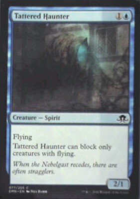 Tattered Haunter - Eldritch Moon: #77, Magic: The Gathering Nm R102 | eBay