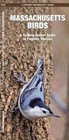Massachusetts Birds: A Folding Pocket Guide to Familiar Species (Pocket ...