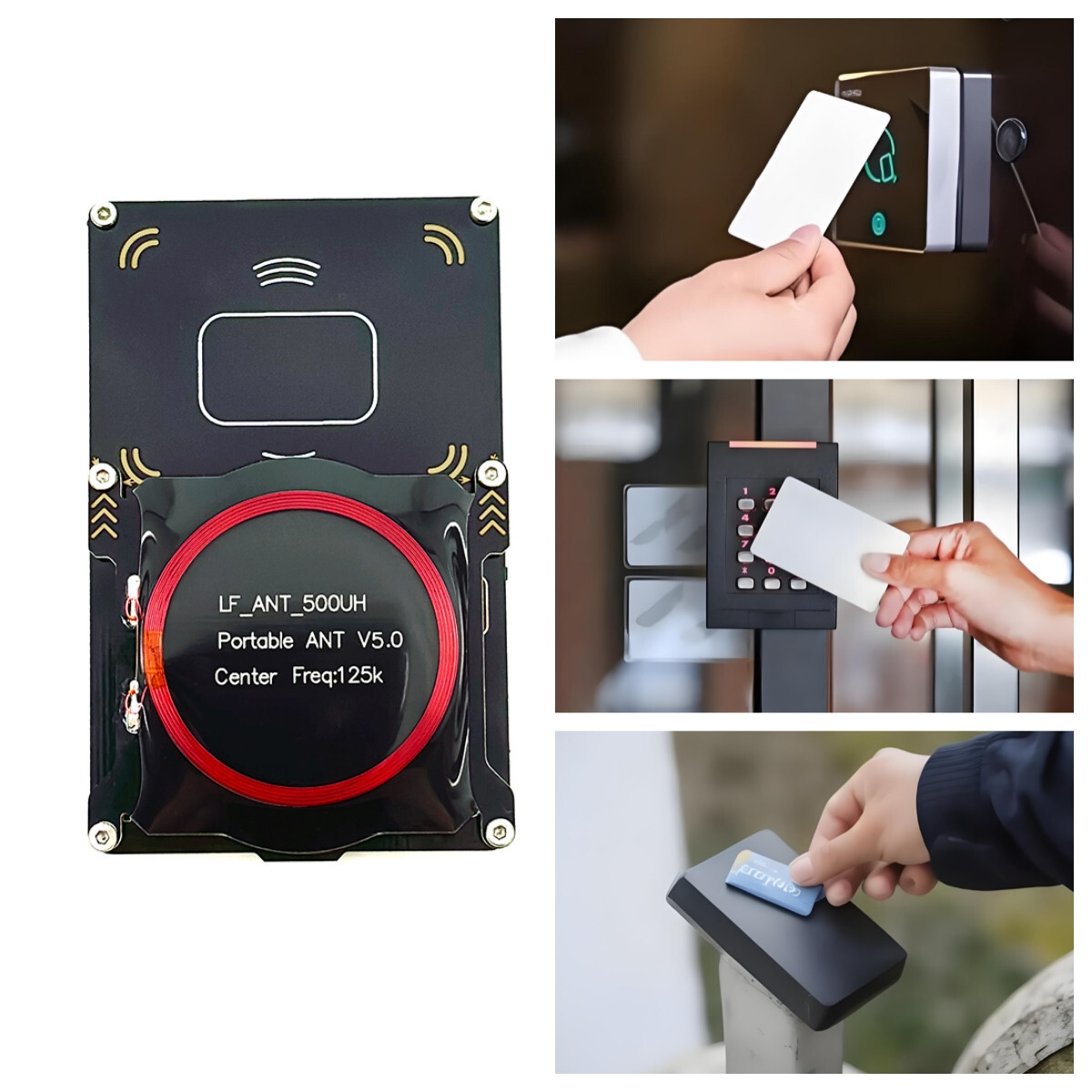 Pm3 Easy Rfid Tag Icon. Radio Frequency Identification Symbol. Vector ...