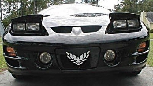 Pontiac Trans AM WHITE Front Nose Bird Emblem WS6 LS1 | eBay