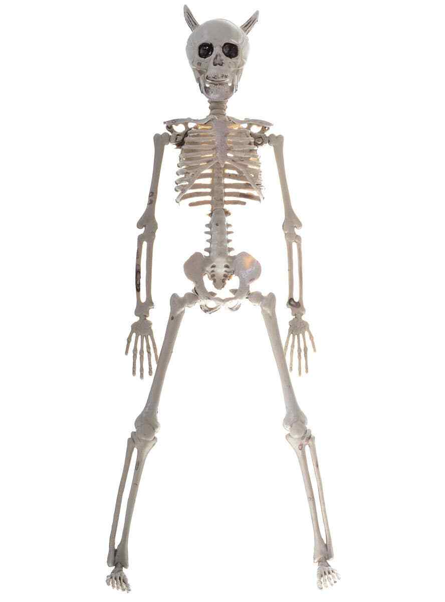 Hanging 40cm Devil Skeleton Halloween Decoration - New | eBay