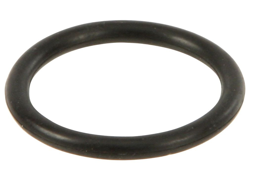 Engine Oil Filter Adapter O-Ring REINZ fits 1984-1999 BMW 318i,318is ...