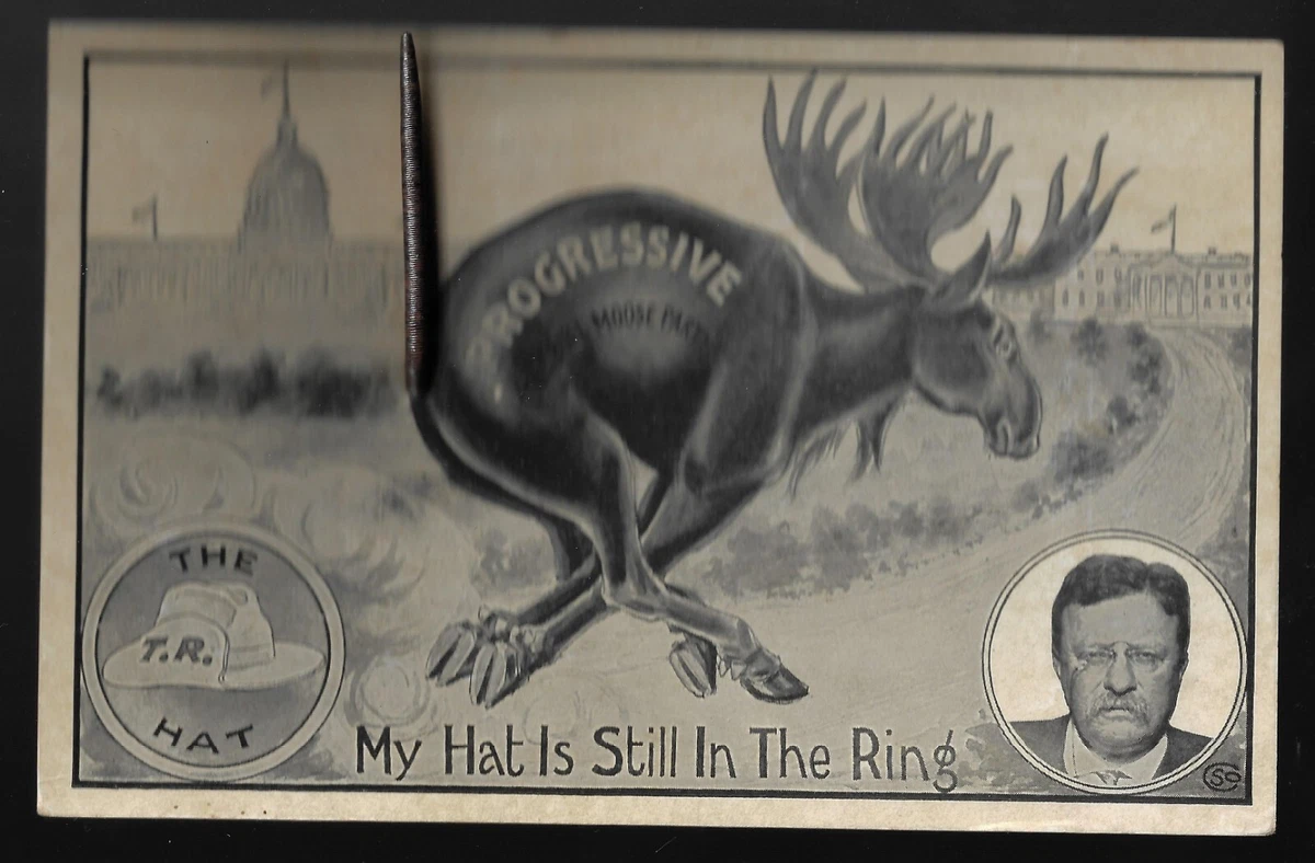 Theodore Roosevelt Bull Moose