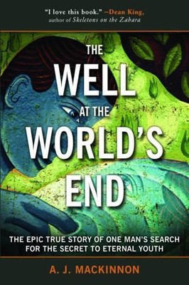 A J MacKinnon The Well at the World's End (Hardback) (US IMPORT) | eBay UK