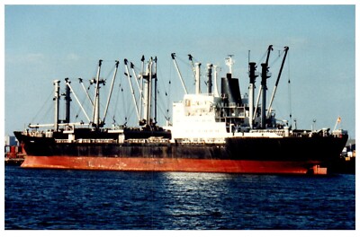 Unidentified General Cargo Ship Photograph VTG 4x6" New York Waters c ...