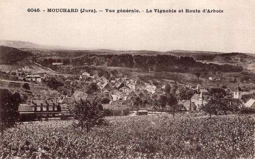 *37828 cpa 39 Mouchard - vue générale | eBay