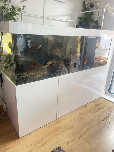 Extra large Aquarium 600L Fish Tank with Stand, accessories 1,84cm x ...