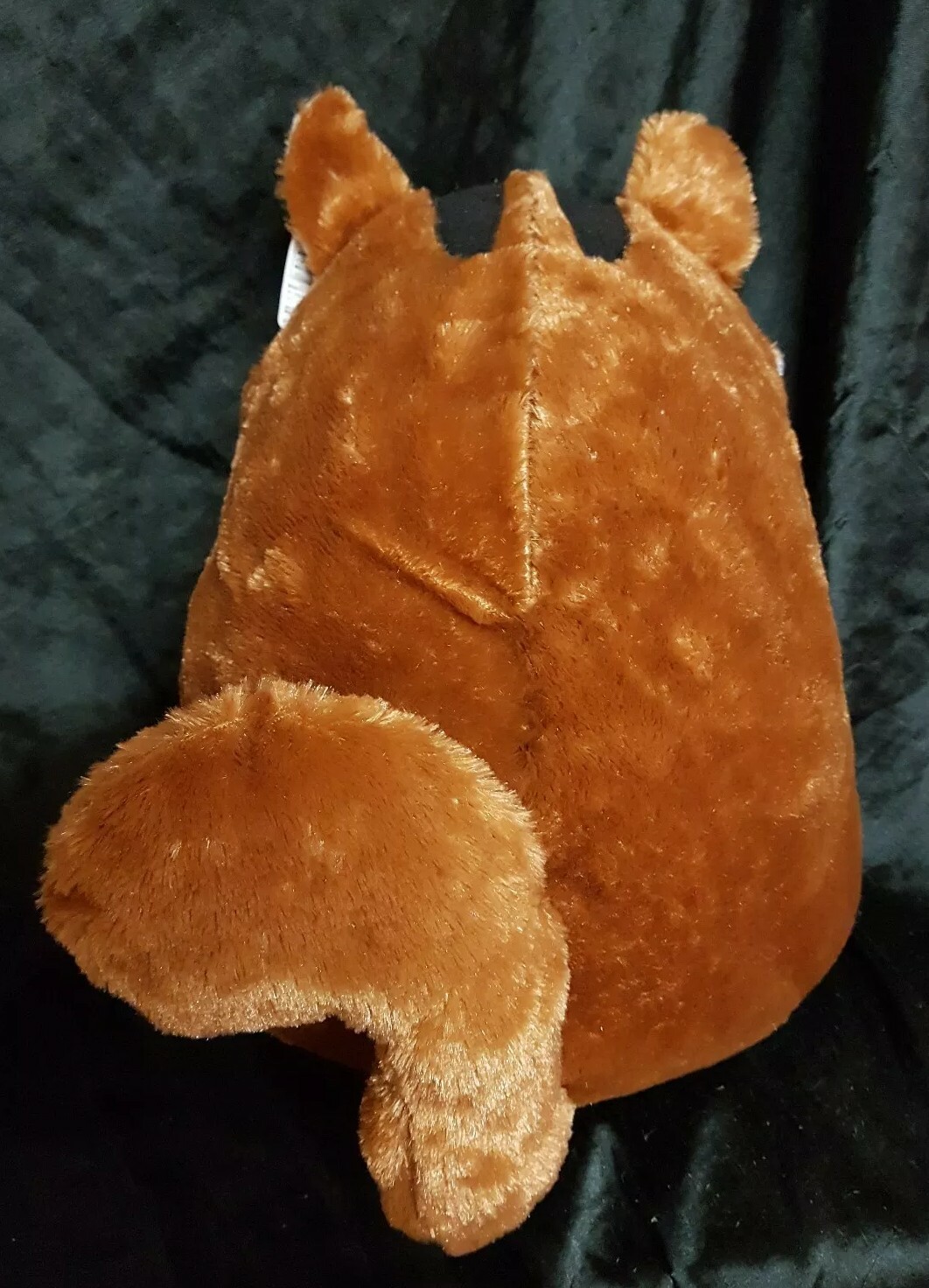 TAITO KajiKaji Rippie Squirrel Plush. Toreba prize | eBay