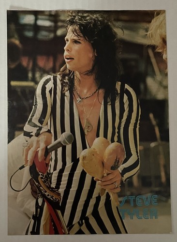 Vintage 1970s Aerosmith Steven Tyler Magazine Pinup Clipping | eBay
