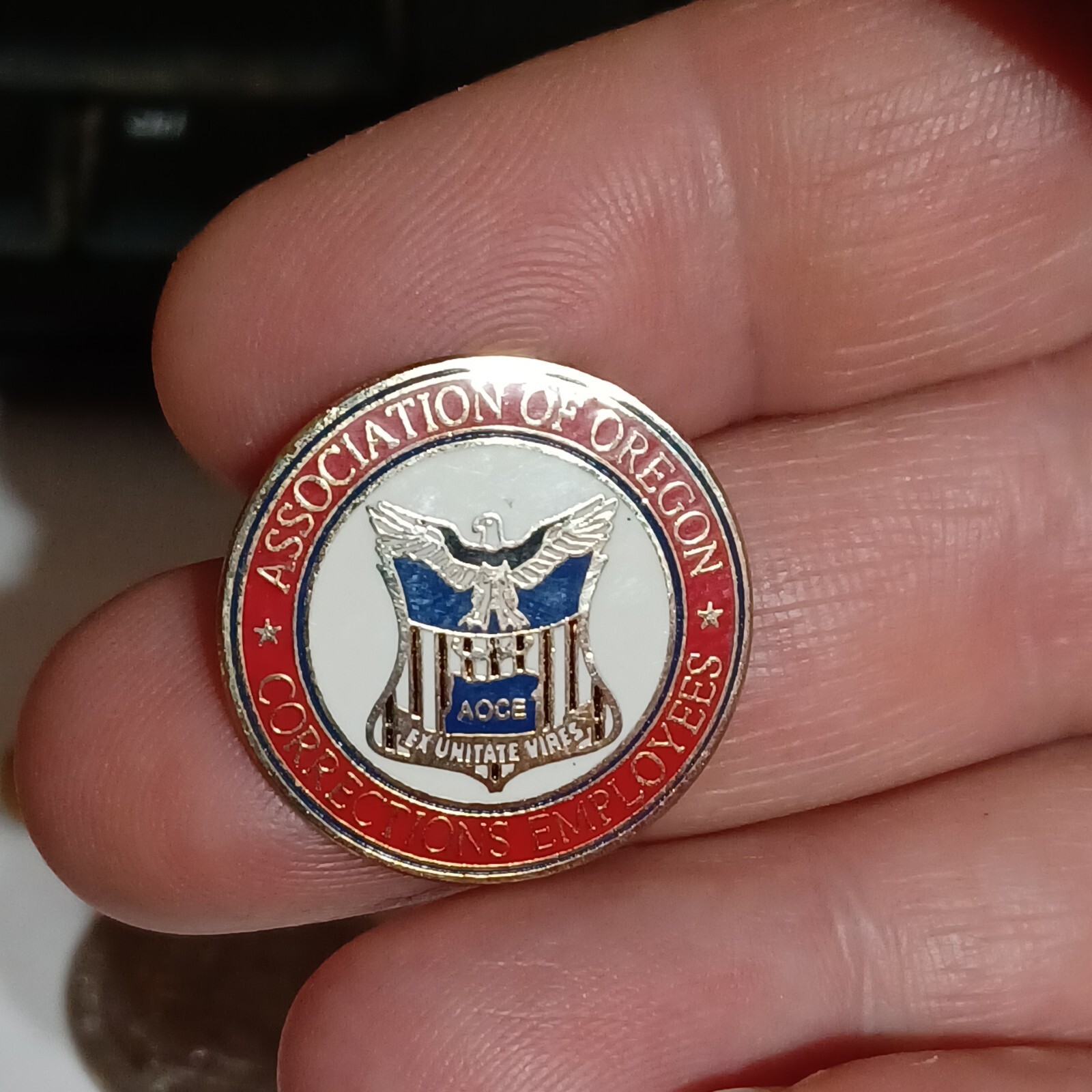 Association of Oregon Corrections Employees Lapel Hat Pin aoce pinback ...