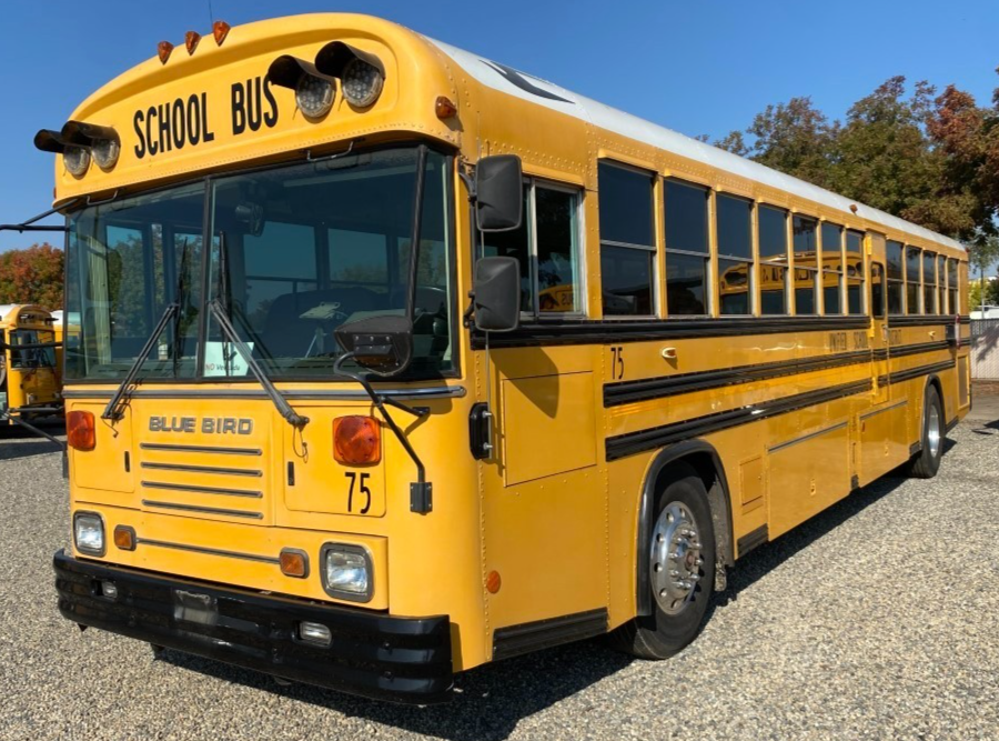 1999 BlueBird All American 84-passenger CNG School Bus #75 | eBay