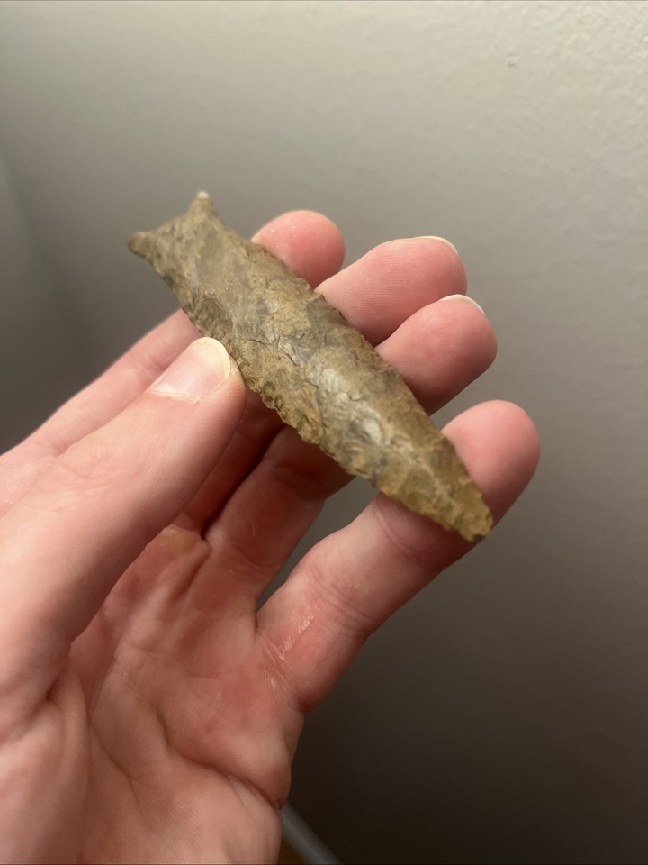 Exceptional 4 1/8 inch Tennessee Paleo Cumberland Point with Davis COA ...