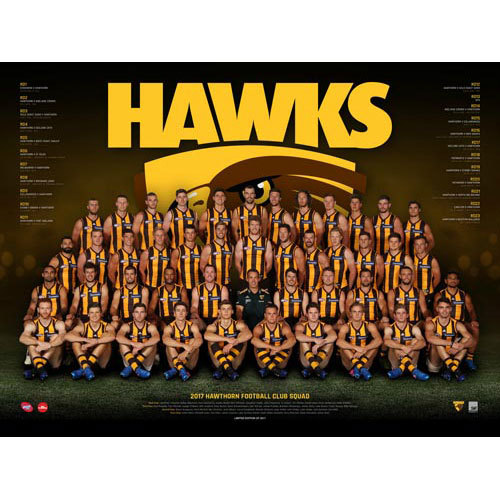 AFL 2017 Team Hawthorn Hawks POSTER 60x80cm NEW Aussie Football League ...
