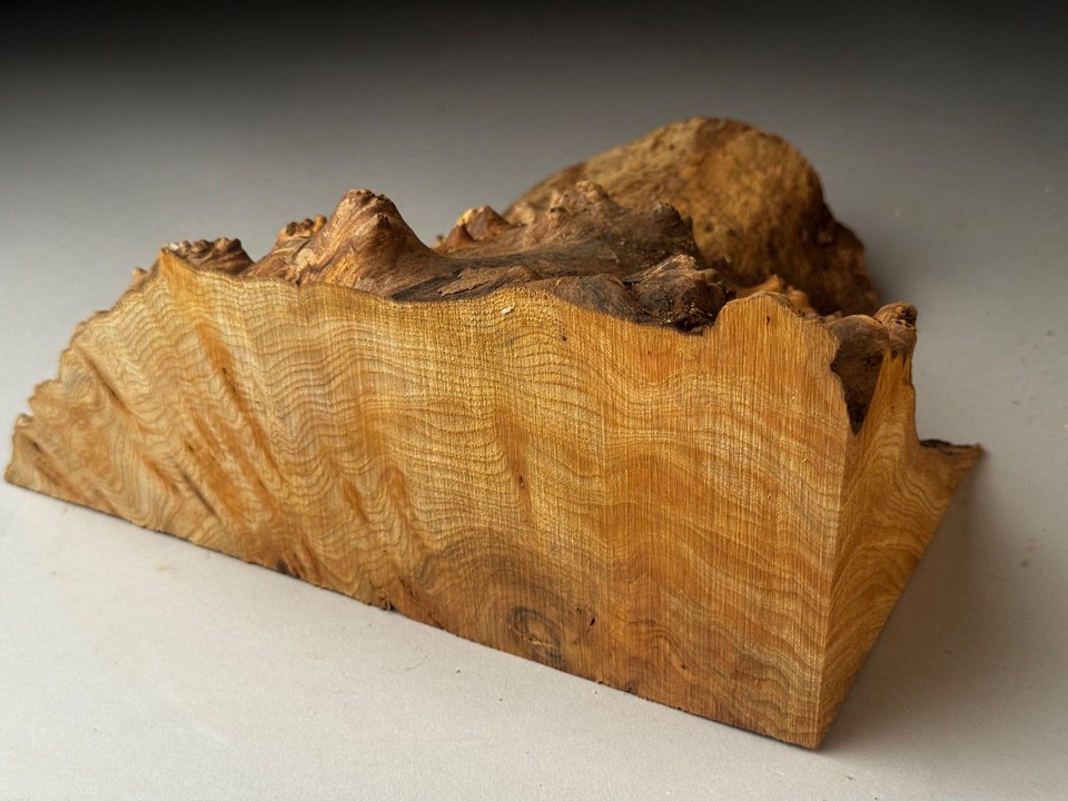 Burr Elm Resin Wood turning Pen Bowl Blanks 10x4x3 inch 1.8 KG | eBay UK