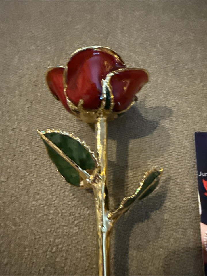Steven Singer Real Rose Preserved and Dipped in 24 Karat Gold | eBay UK