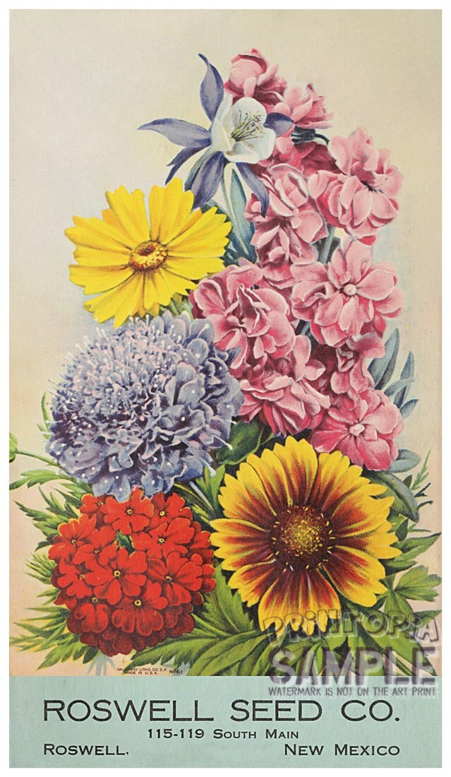 Vintage Flower Seed Packet Art Vintage Flower Flowers Seeds Seed