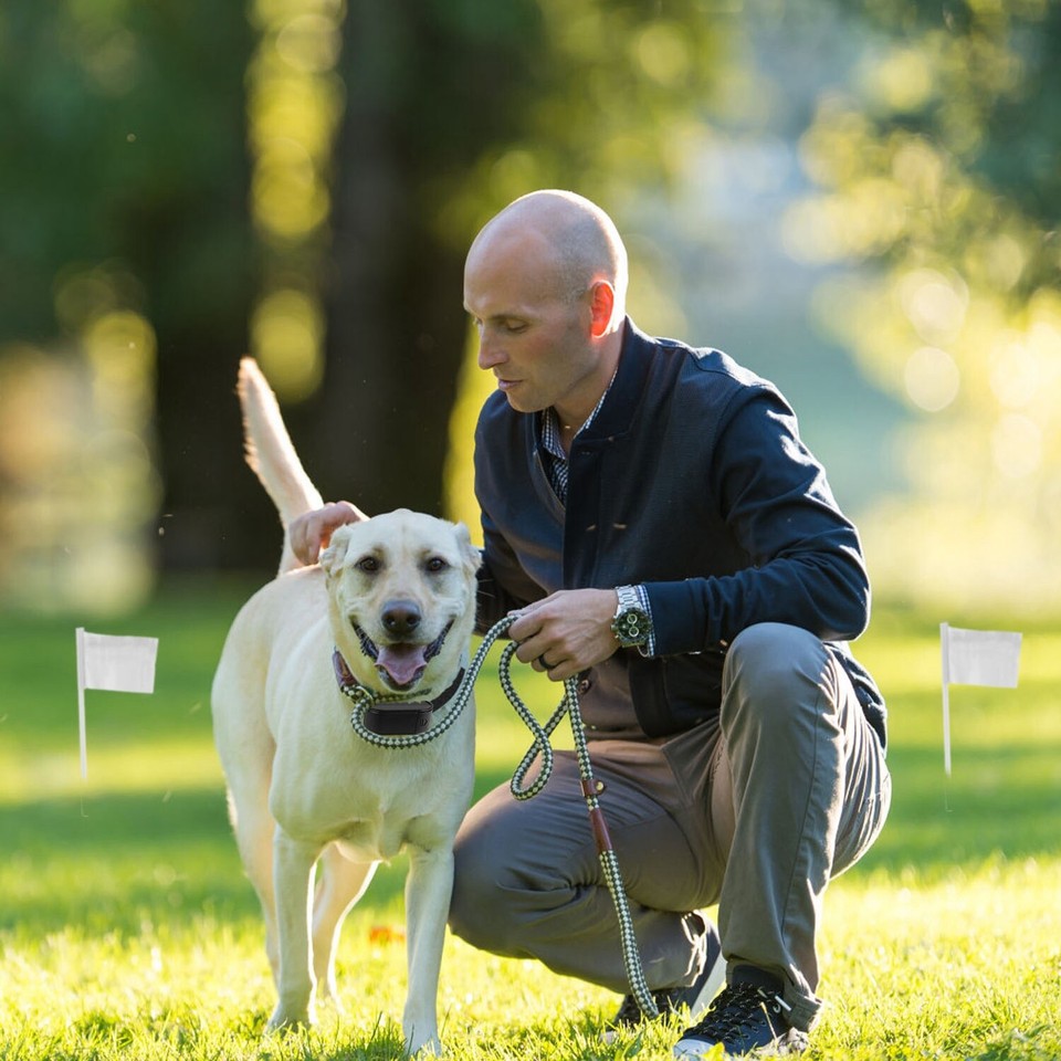 Wireless Electric Dog Fence Pet Containment System Shock Collar For 1/2 ...