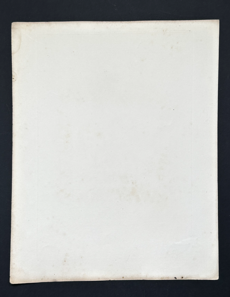 Engraving Xixth Antiquity Curiosa Acratus Mythology Art Antique Lion ...