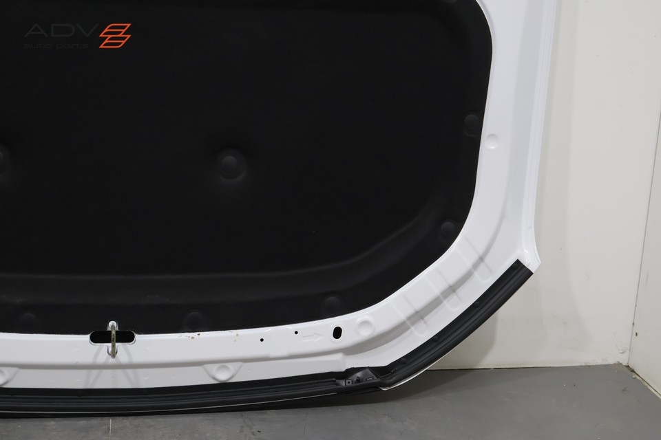 2025 GMC TERRAIN HOOD BONNET SHELL COVER PANEL OEM | eBay