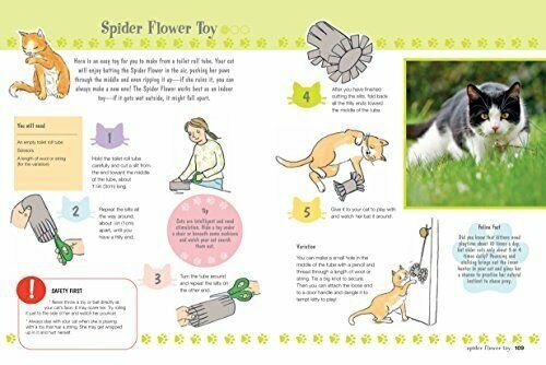 My First Cat Book : Simple and Fun Ways to Care for Your Feline Friend ...