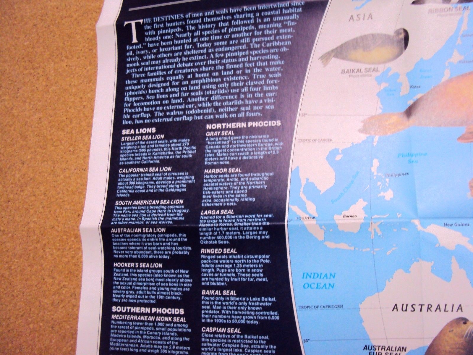 National Geographic Magazine April 1987 Map Pinnipeds Around The World ...