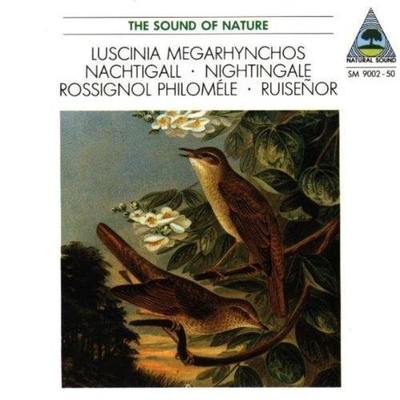 Nightingale (CD) Album | eBay