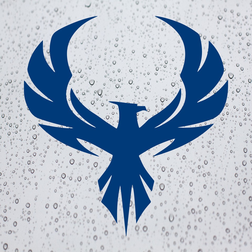 PHOENIX BIRD RISING Decal Vinyl Sticker for Car Bumper Window Door ...