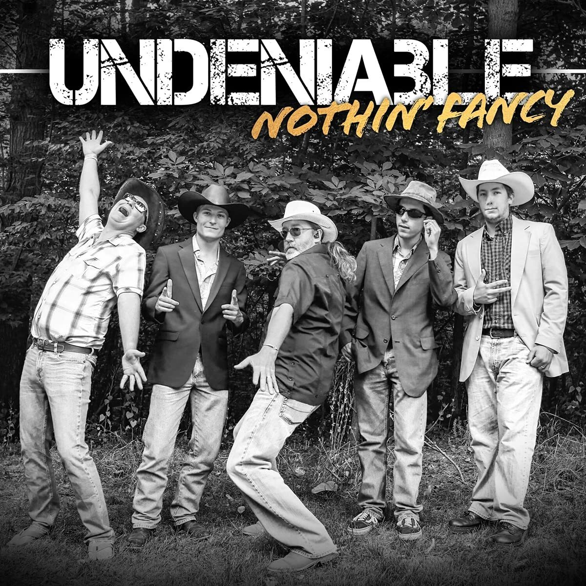 Nothin' Fancy Undeniable (CD) | eBay