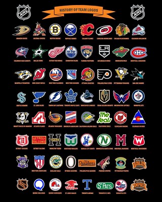 NHL History of Team Logos Wall Art Post - 8x10 Color Photo | eBay