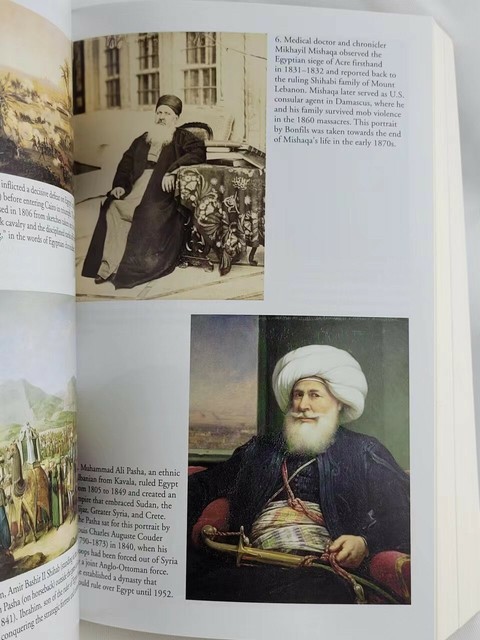 The Arabs : A History by Eugene Rogan (2011, Trade Paperback) for sale ...