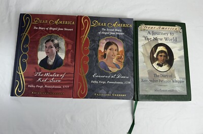 DEAR AMERICA Diary Series Lot of 3 HC Books Journey To New World ...